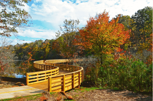 Explore Georgia State Parks’ autumn “Leaf Watch” - On Common Ground ...